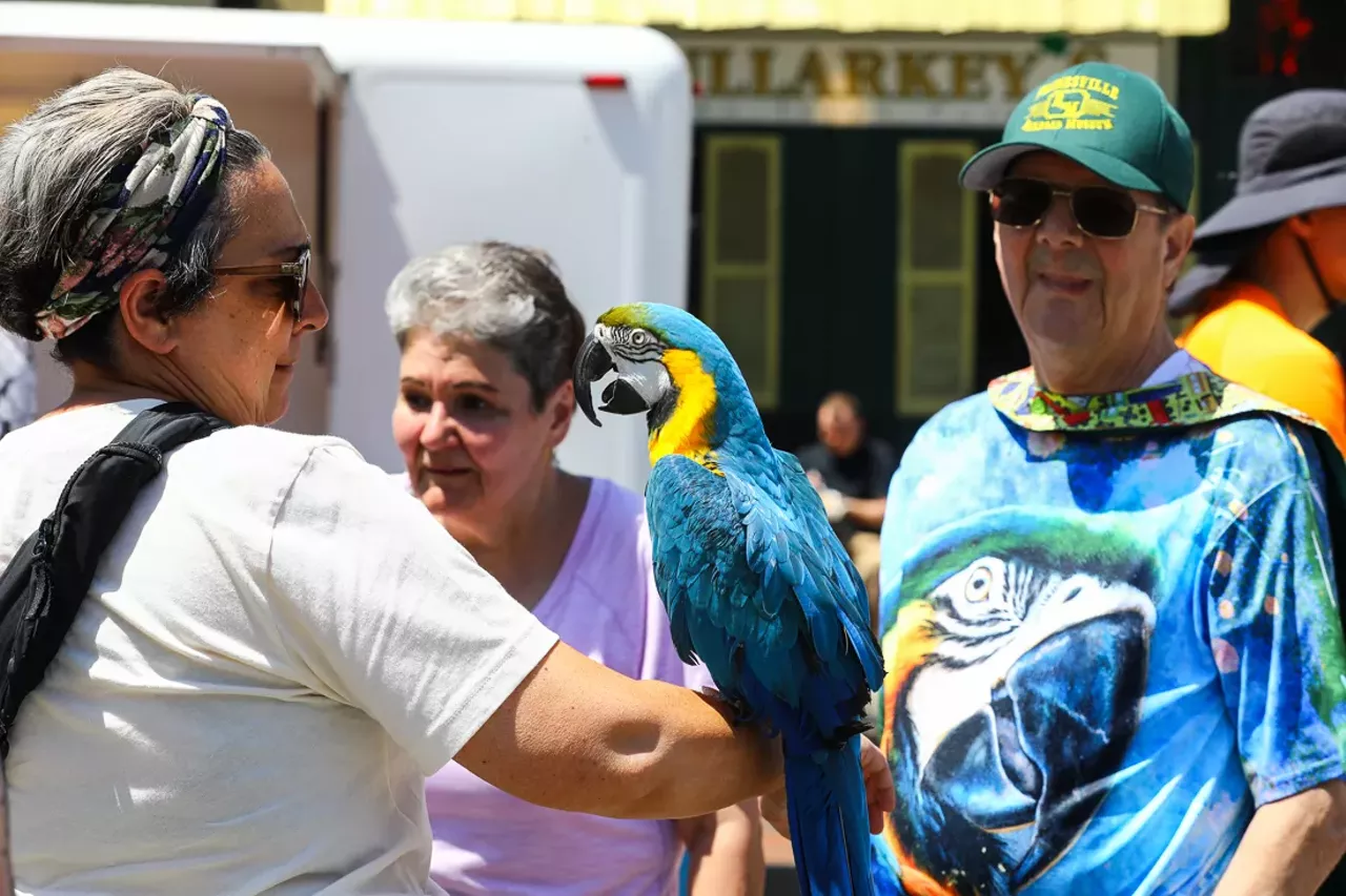 Photos From the 11th Annual Marous Downtown Willoughby Rib Burn Off ...