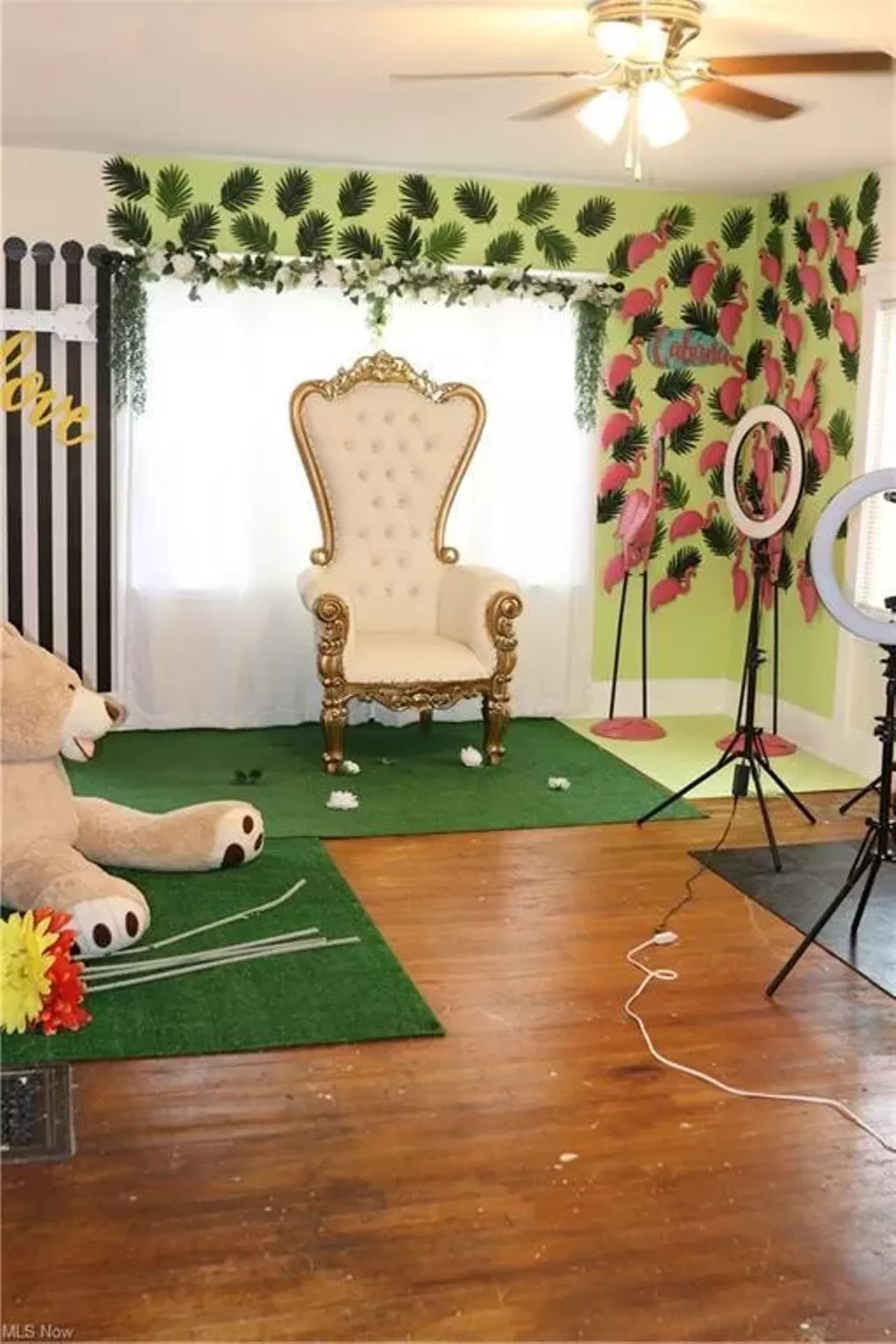 This North Collinwood 'Selfie House' Just Hit the Market for $79,900 ...